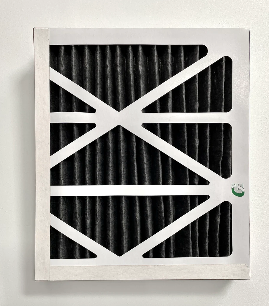 Sedona Compatible 2" Carbon Filter – IAQ Living